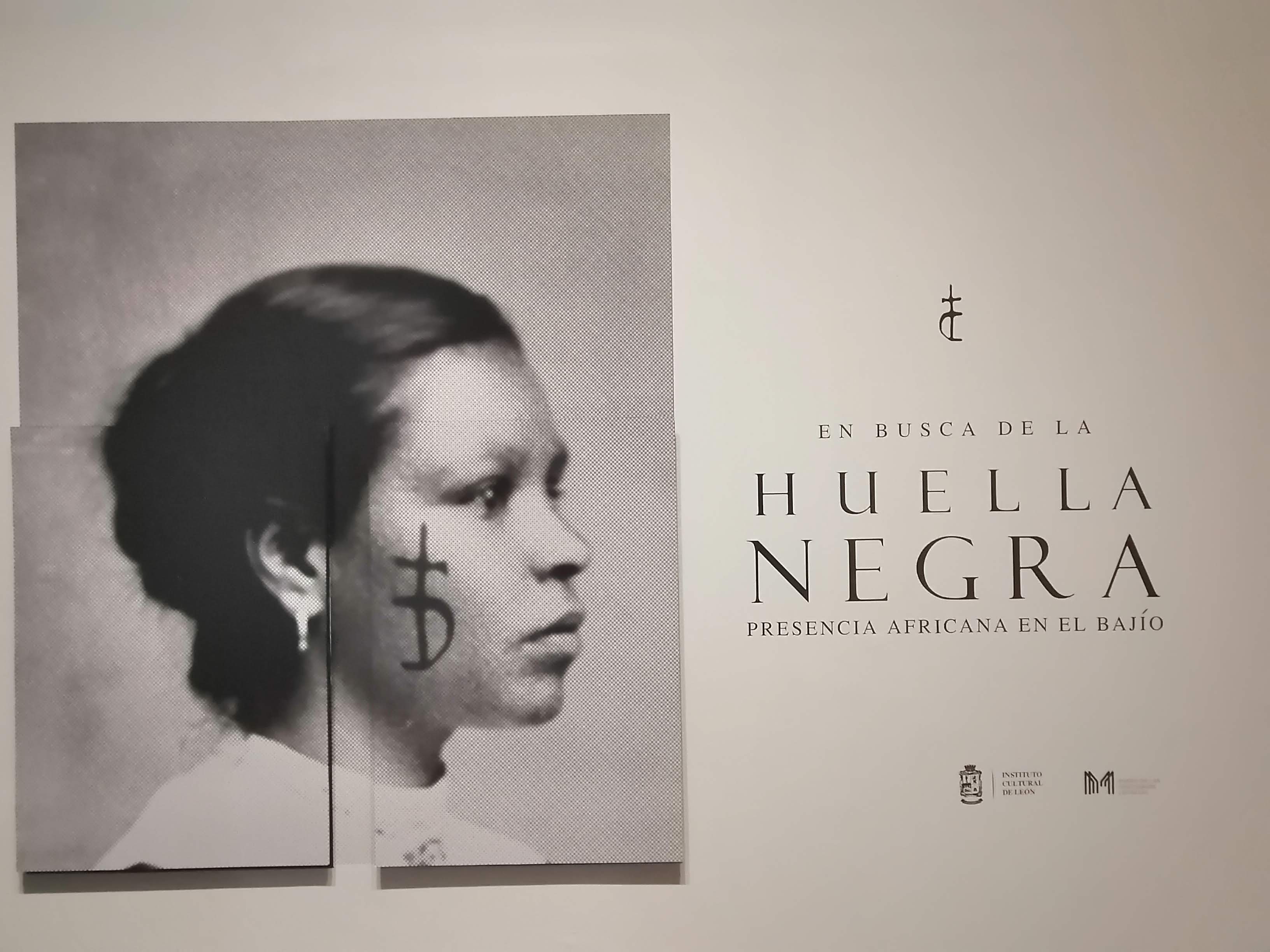 Exposiciones – Vanessa Quintero Castañeda